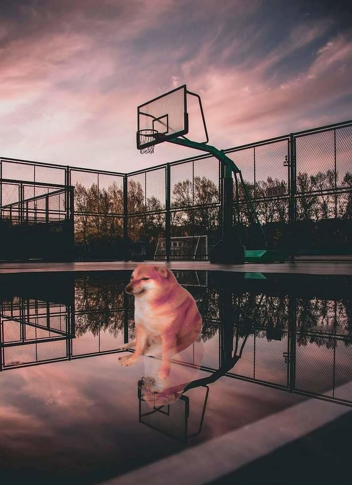 Cheems Aesthetic – Revicheems