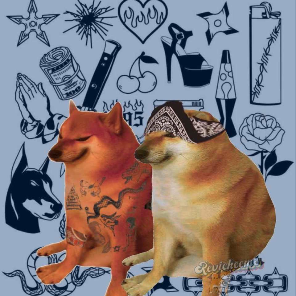 Imágenes de Cheems para usar como foto de perfil (parte 1 de 4 ...